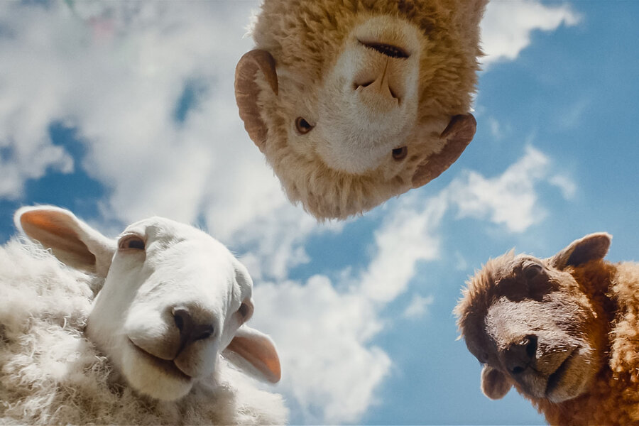‘The Sheep Detectives’ review: A tender fable wrapped in a murder ...