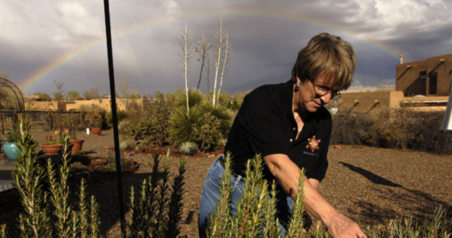 Going native with plants: A new-old direction for water conservation ...
