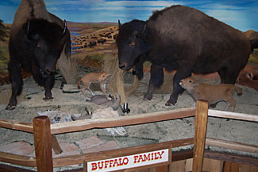 In the saddle at the Bison Museum - CSMonitor.com