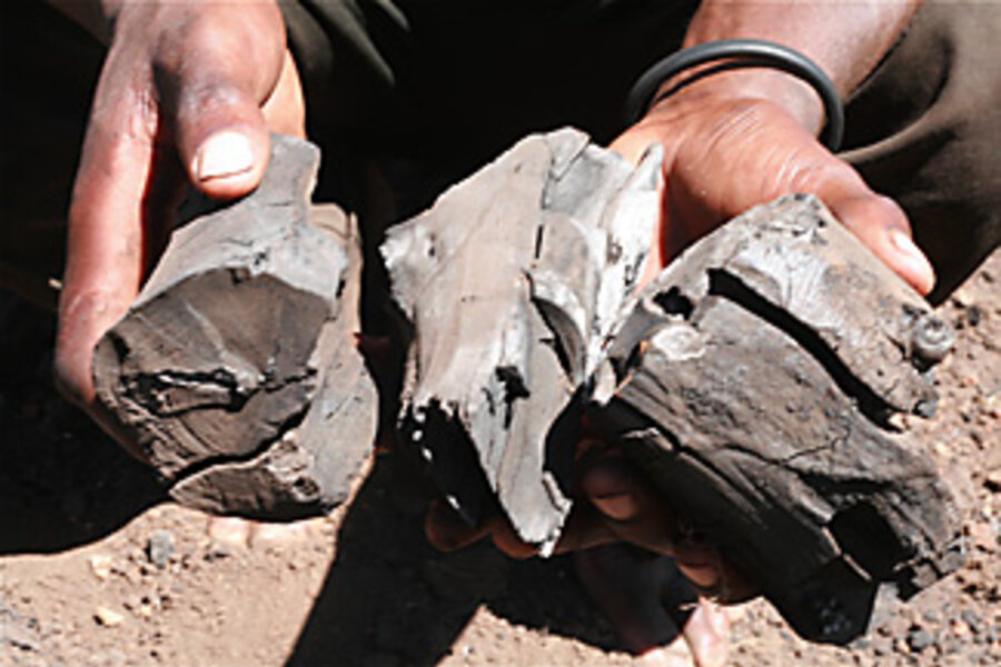 Charcoal fuels the economy and deforestation of Mozambique - CSMonitor.com