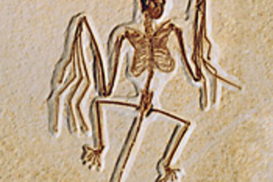 Short stuff - CSMonitor.com