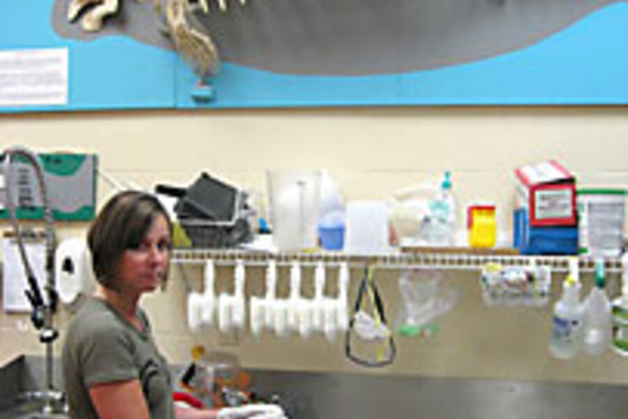 A lab in Florida acts as a real-life CSI show ... for manatees ...