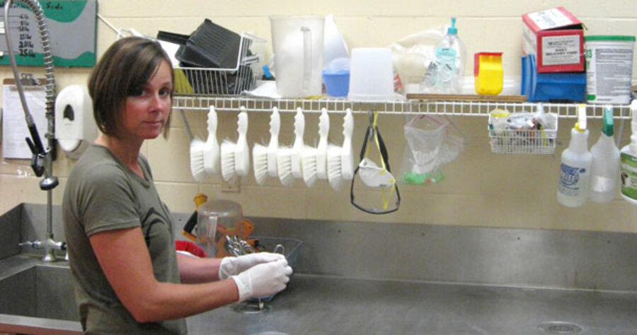 A lab in Florida acts as a real-life CSI show ... for manatees ...