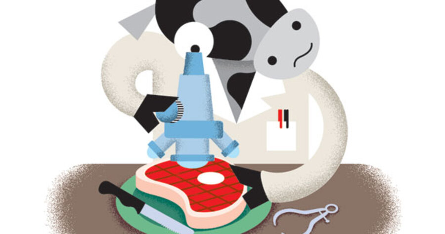 Where’s the beef? Try the lab. - CSMonitor.com