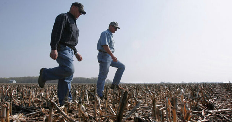 More signs of trouble for corn - CSMonitor.com
