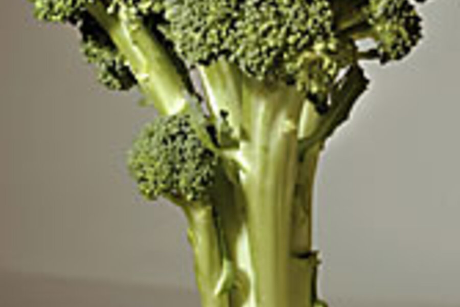 Broccoli forest - CSMonitor.com