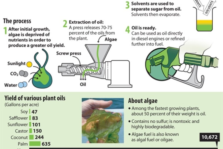 Biodiesel from algae - CSMonitor.com