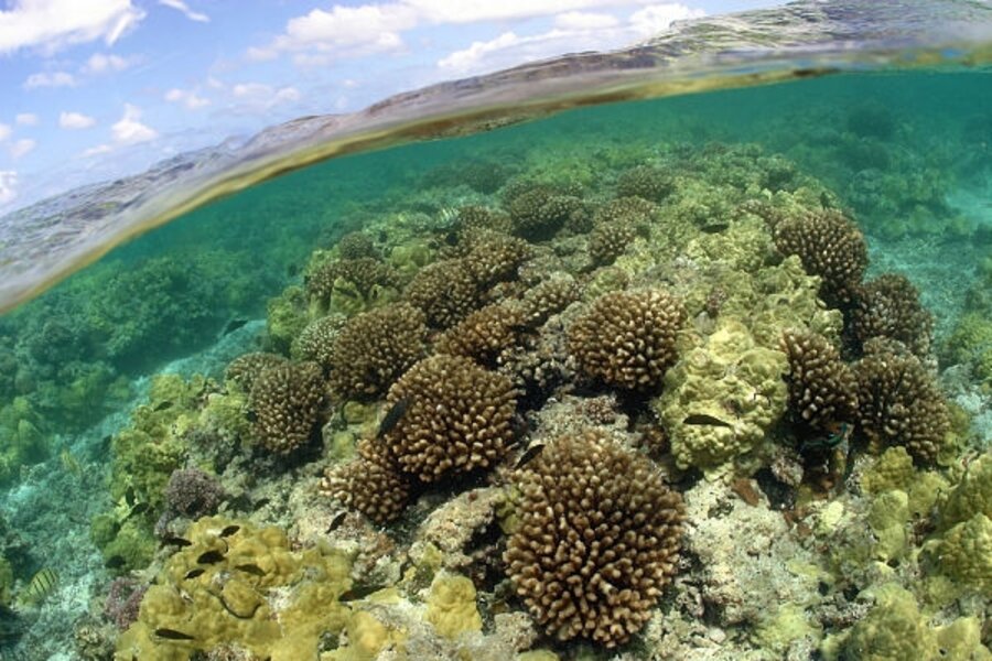 A new map for a breathtaking ocean preserve - CSMonitor.com