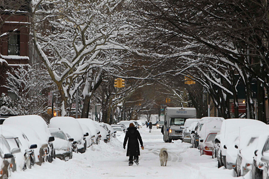 Holiday sales 2009: how the East Coast snowstorm helped - CSMonitor.com