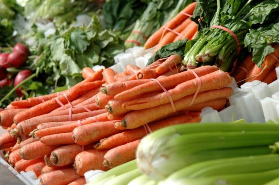 Baltimore teens grow veggies in portable greenhouses - CSMonitor.com