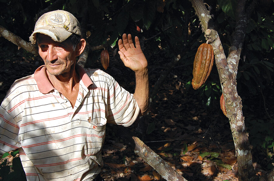 Peru farmers drop cocaine in favor of cocoa - CSMonitor.com