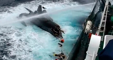 Whale Wars: How was the Sea Shepherd's new ship sunk? - CSMonitor.com