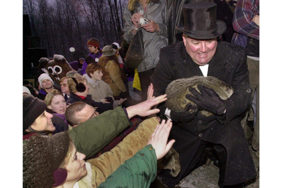 Groundhog Day: PETA wants to replace Punxsutawney Phil with a robot ...