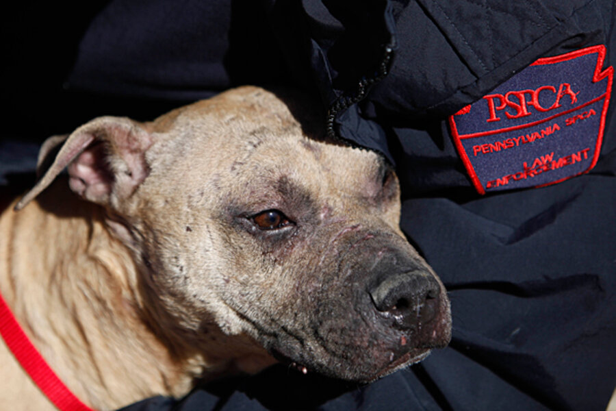 Supreme Court animal cruelty ruling: All sides find positives ...