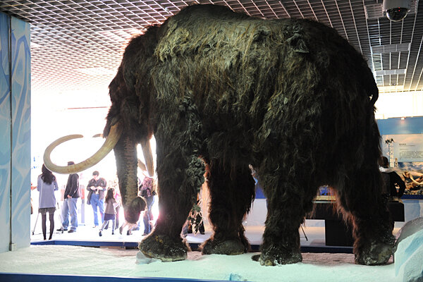 How did the woolly mammoth stay warm? - CSMonitor.com