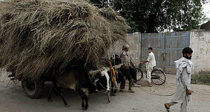 Who is Huma Mian? Wife of Faisal Shahzad, Times Square bomb suspect ...
