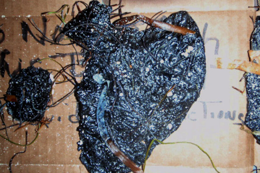 Florida tar balls not from BP oil spill, according to Coast Guard lab ...