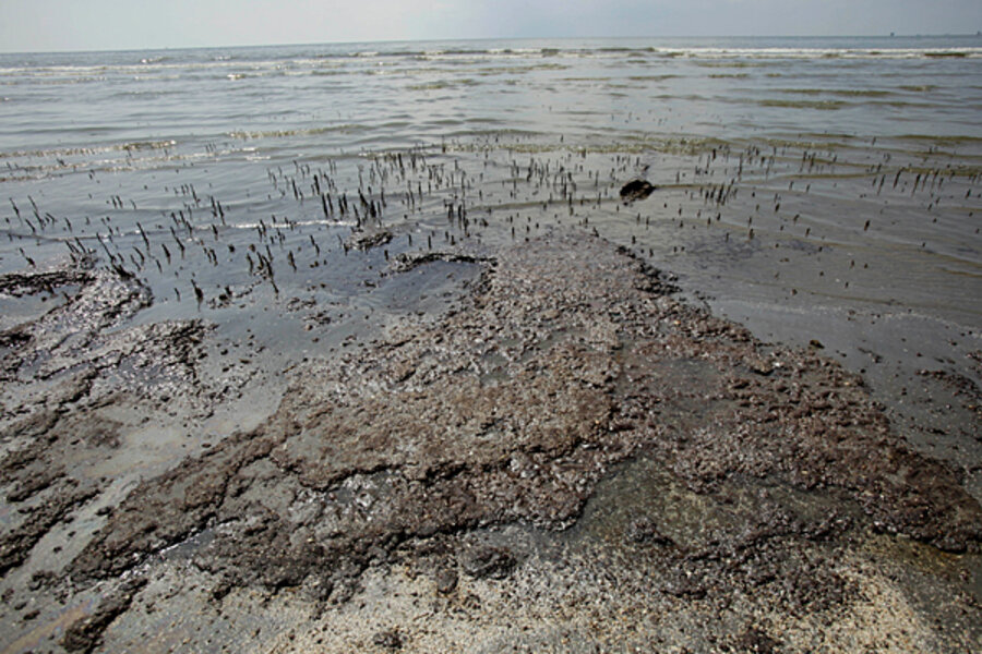 Gulf oil spill: Can earth survive the disaster? - CSMonitor.com