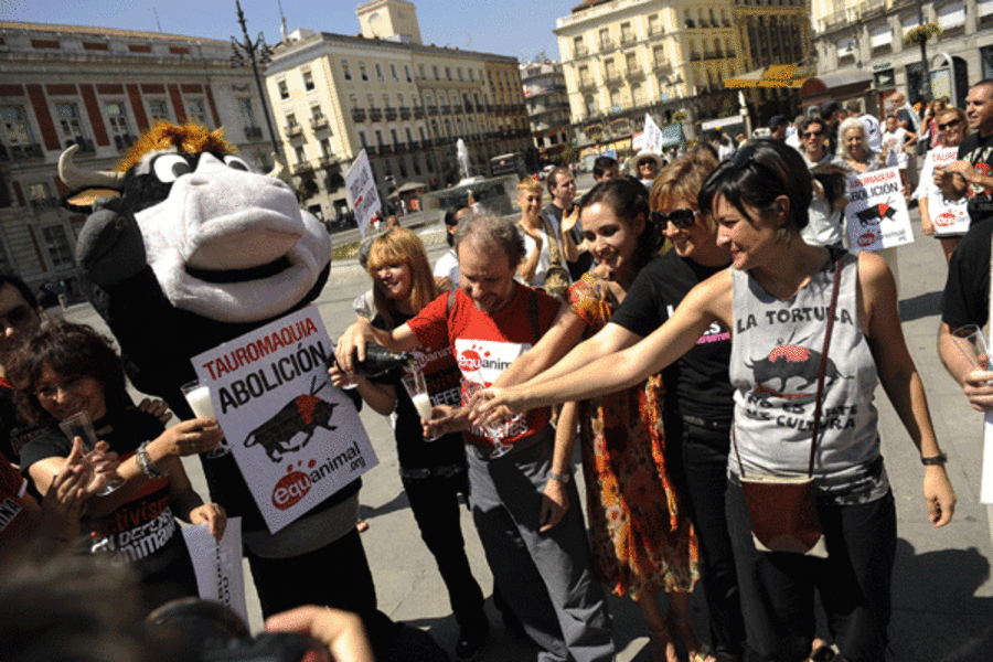 Bullfighting ban in Spain? Catalonia says no more; activists target ...