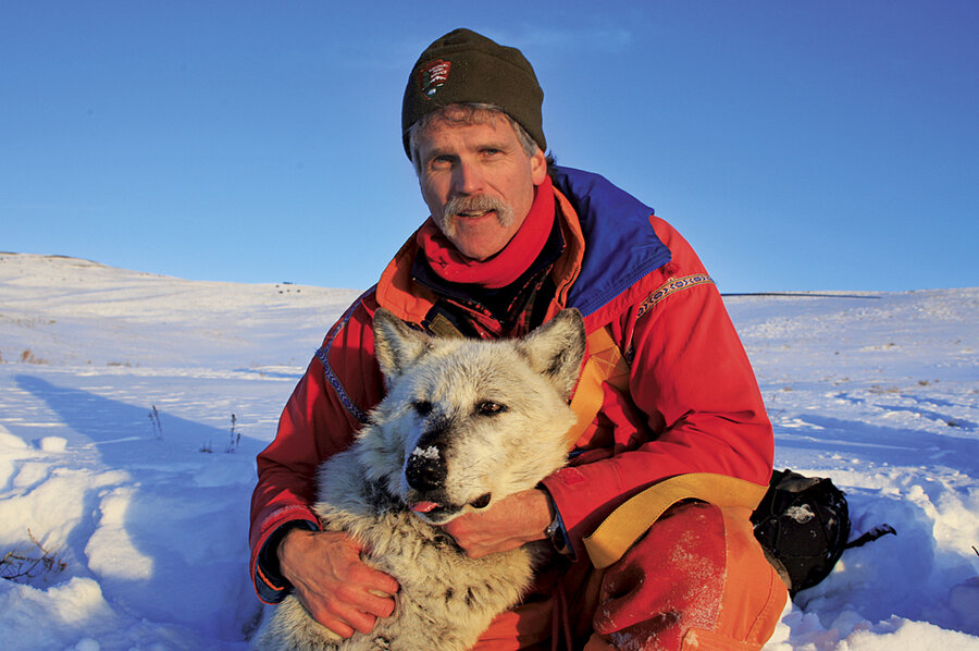 'Wolf man' Doug Smith studies Yellowstone's restored predators ...