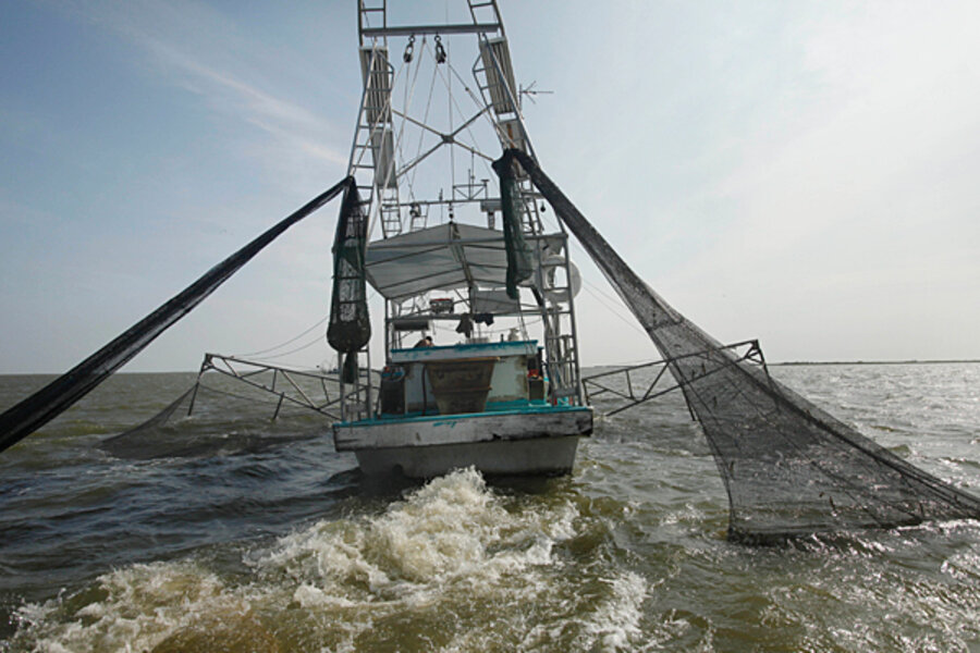 Gulf oil spill: Are con artists posing as fishermen to scam BP ...