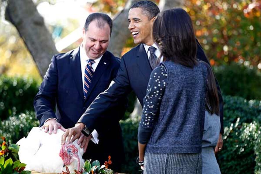 Obama pardons Thanksgiving turkeys: no 'shellacking' this day ...
