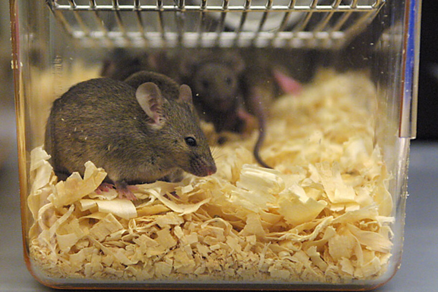 Science helps the world, even if it's done in China - CSMonitor.com