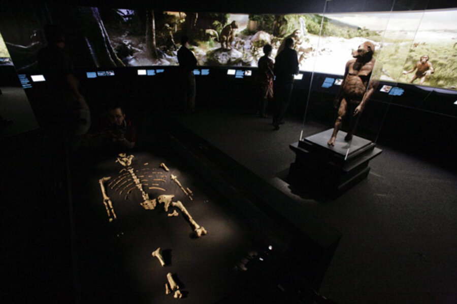 Australopithecus afarensis bone could change story of human evolution ...