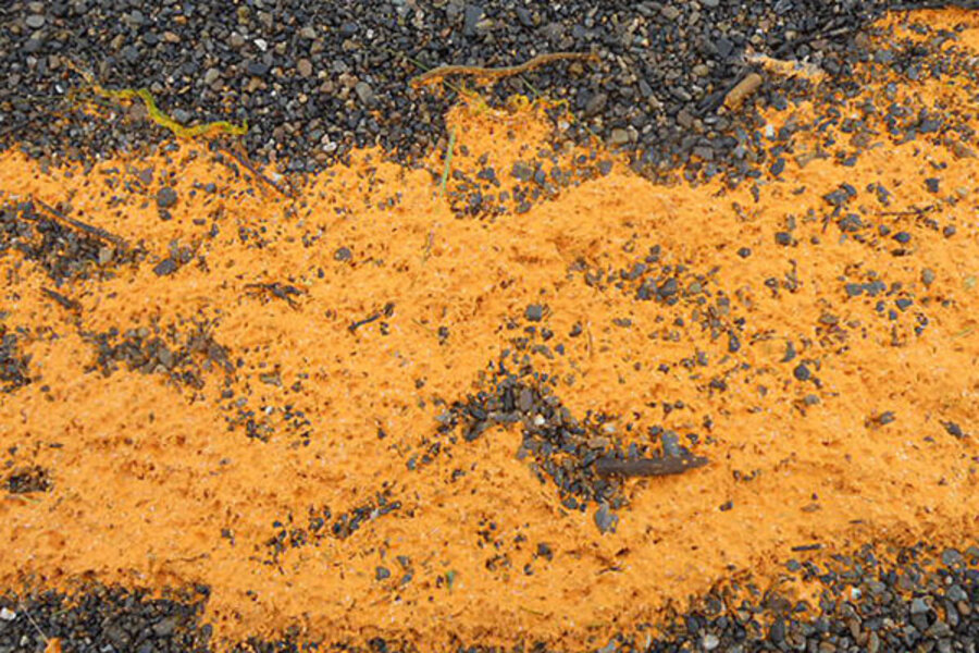 Mysterious orange goo washes up in Alaska village - CSMonitor.com