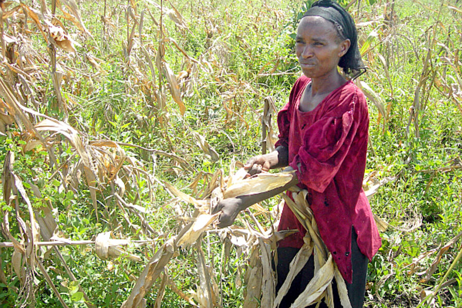 Backpack Farms helps small African farmers defeat drought - CSMonitor.com