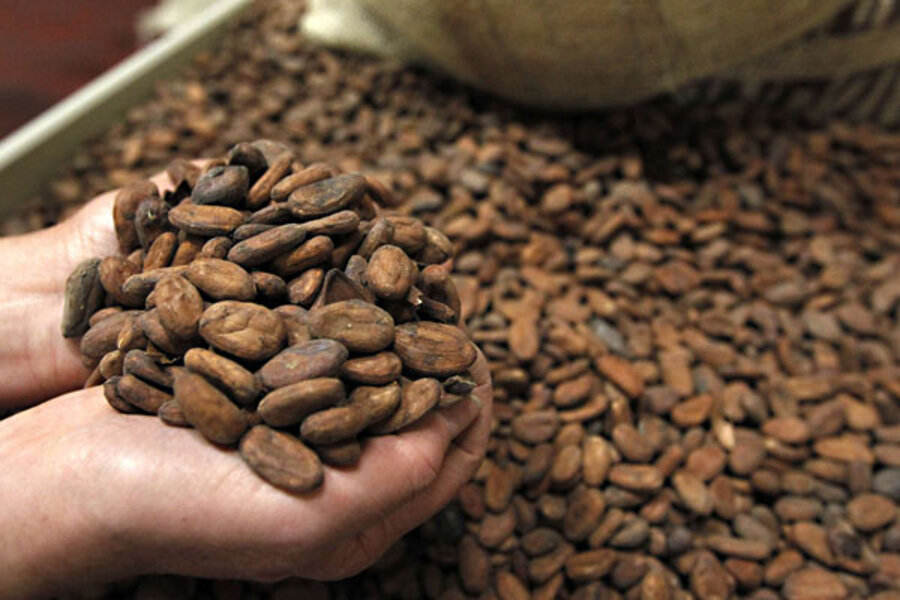 Climate change and chocolate - CSMonitor.com