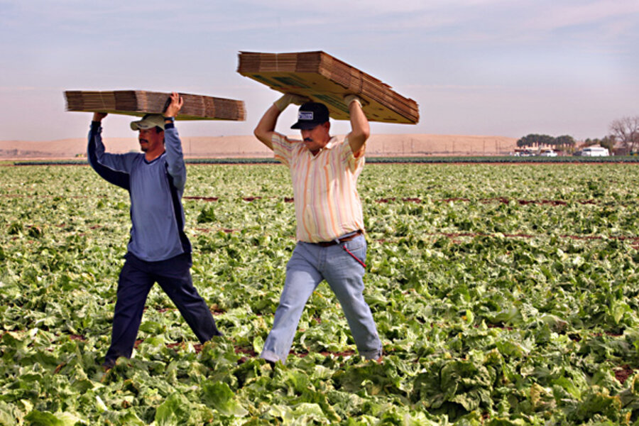 Farms can't find pickers - CSMonitor.com