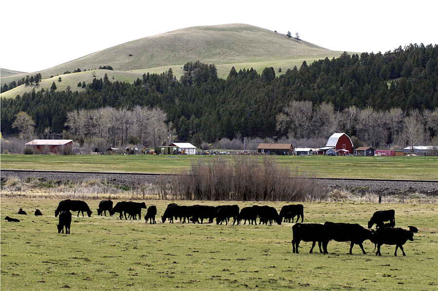 Saving US grasslands: a bid to turn back the clock on desertification ...