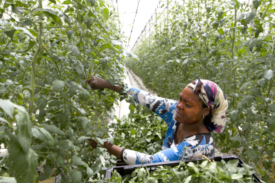 In Africa, producing food from waste - CSMonitor.com